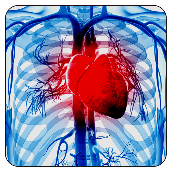 Comprehensive Cardiovascular Pharmacology - Part 1
