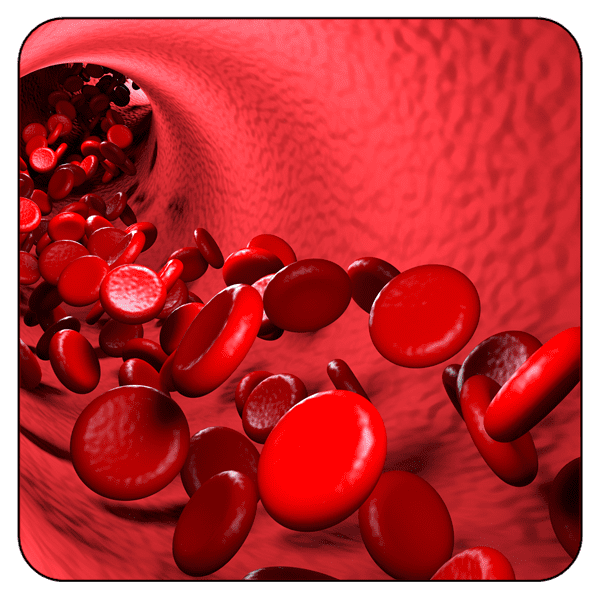 Differential Diagnosis of Common Hematologic Disorders | Part 1 Anemia