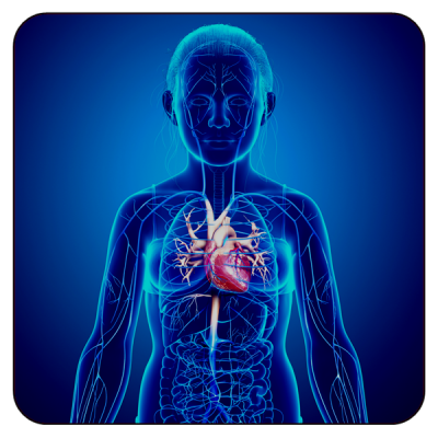 Differential Diagnosis of Common Pediatric Cardiovascular Disorders