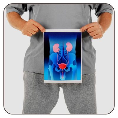 Differential Diagnosis of Common Genitourinary Disorders